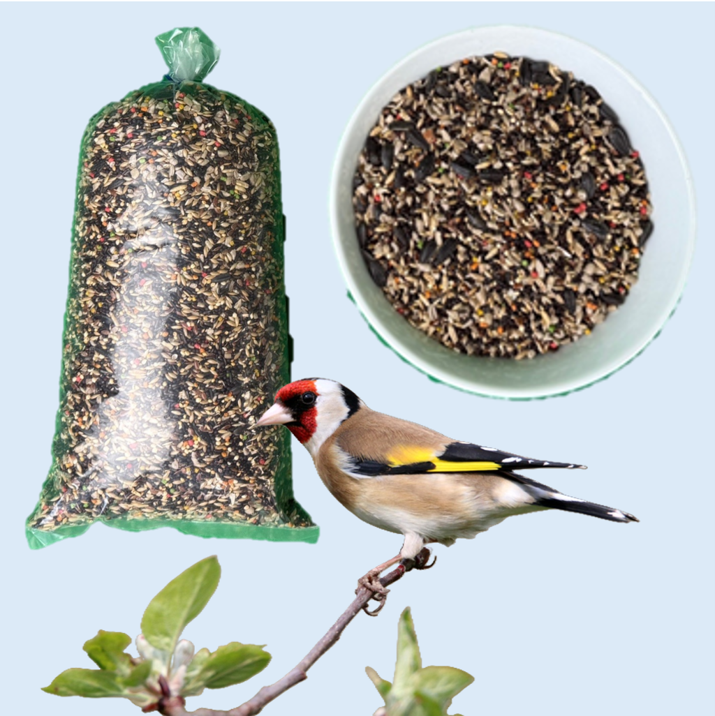 Gold Finch Mix – Magnolia Bird Farm