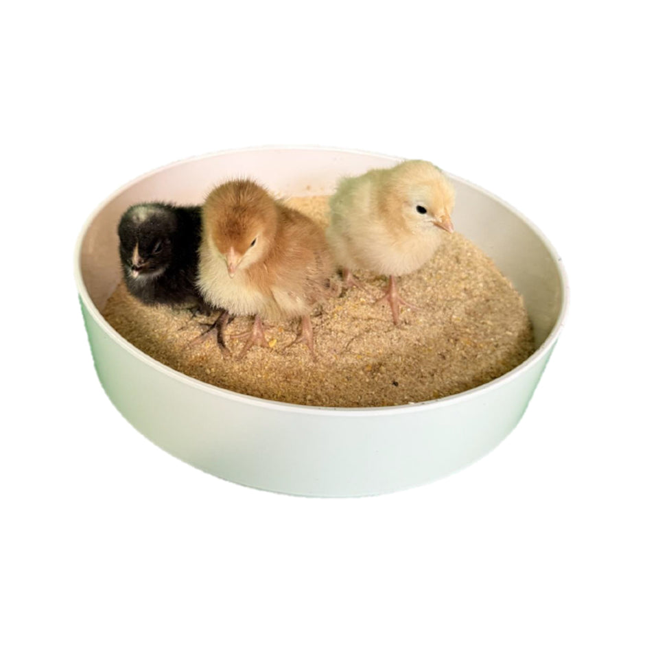 Chick Starter Mash – Magnolia Bird Farm